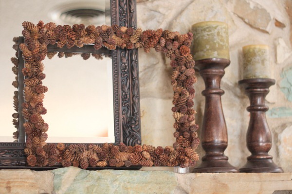 Tracy's Trinkets and Treasures: Pine Cone Frame